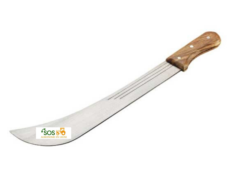 Sos Agronome en ligne - Trouvez des Professionnels qualifiés près de ...